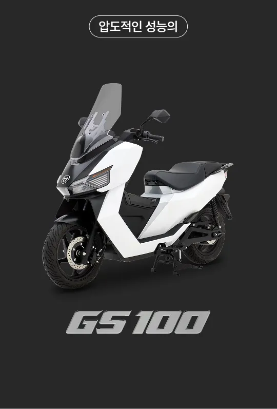 GS 100 | 전기스쿠터