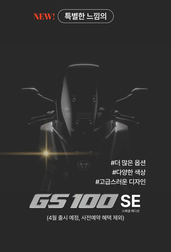 GS 100 | 전기스쿠터